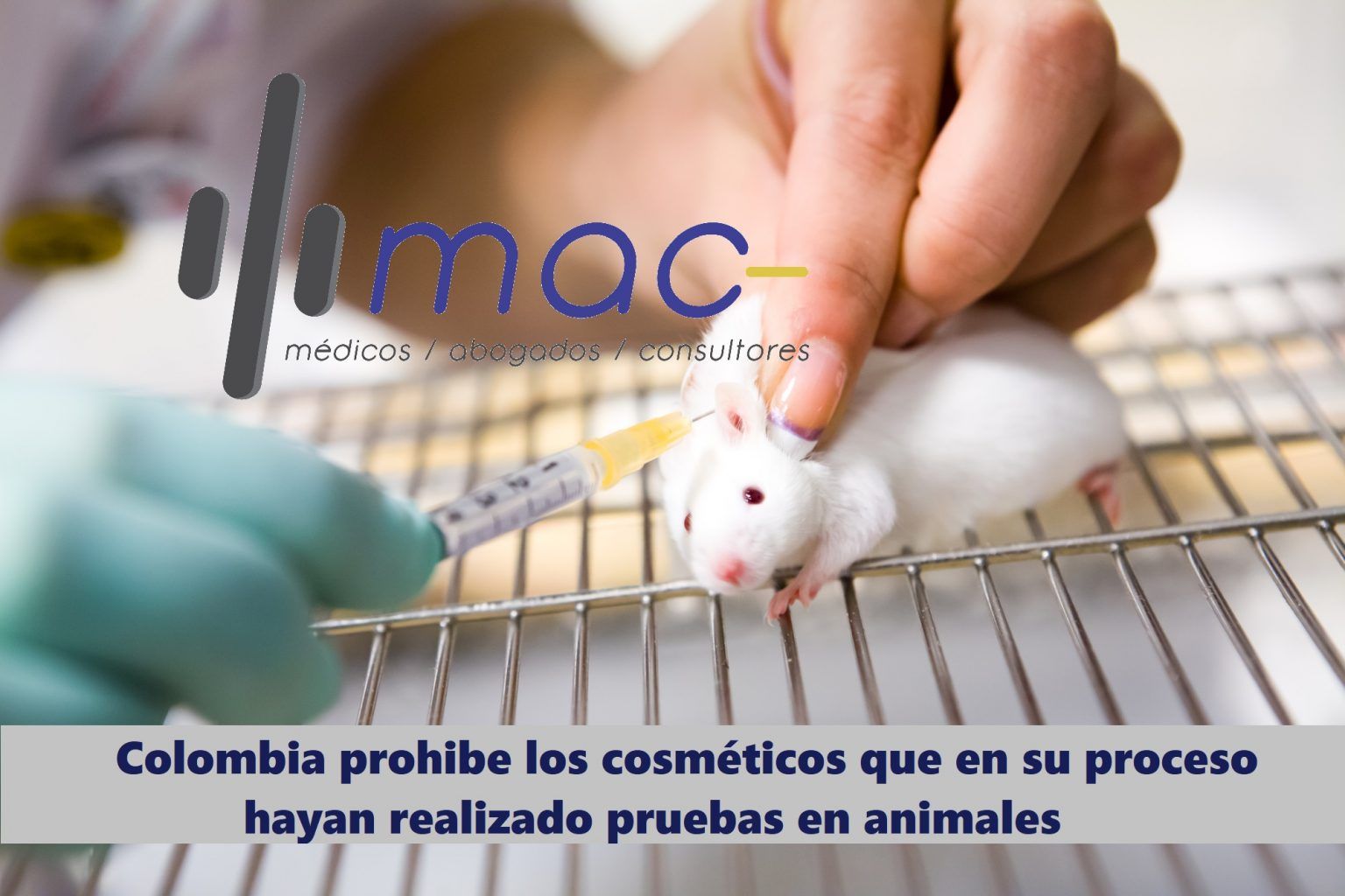 Colombia prohíbe productos cosméticos que para sus componentes haya ...